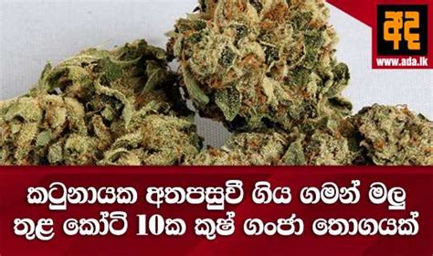 කටුනායක අතපසුවී ගිය ගමන් මලු තුළ කෝටි 10ක කුෂ් ගංජා තොගයක් Ada Online