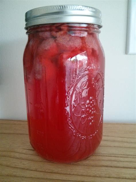 Feel Good Fruit Kvass Williams Sonoma Taste