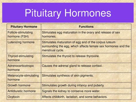 Endocrine System Chemical Control Chapter 37 Pg Ppt Download