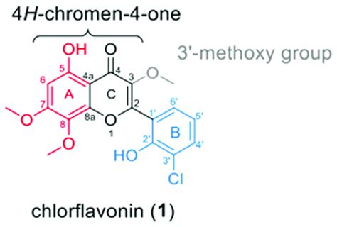 Structure And Nomenclature Of Cf 1 Download Scientific Diagram