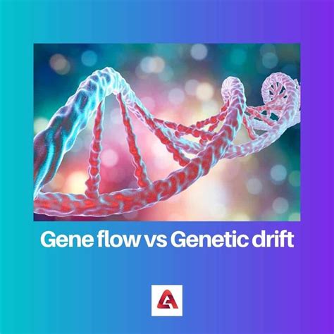 Gene Flow Vs Genetic Drift Difference And Comparison