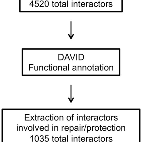 flow chart summarizing the steps involved in data processing