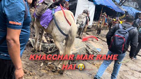 Khacchar Mar Rahe Hai😭 My Kedarnath Vlog Part 3 Kingerriding