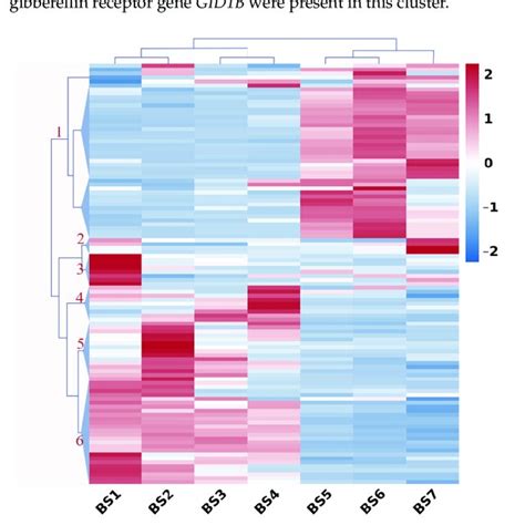 Expression Profiles Of Hormone Related Genes During Flower Development