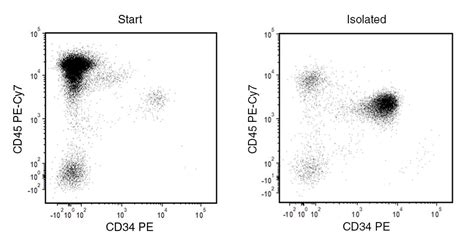 Easysep™ Human Hematopoietic Progenitor Cell Enrichment Kit Ii