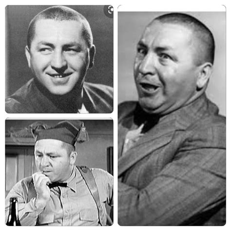 Turner Classic Movies Fan Site Jerome Lester Horwitz Aka Curly Howard