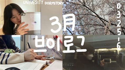 Vlog 대학교 기숙사에서 서울까지 브이로그 Feat🌸벚꽃 🚄ktx Youtube