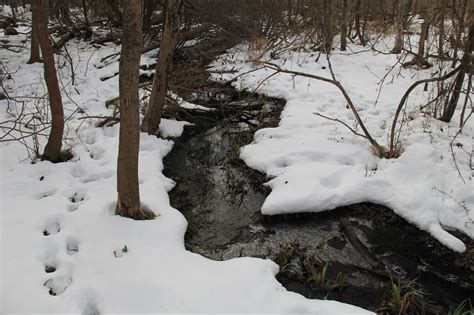 Isabella Conservation District Environmental Education Program