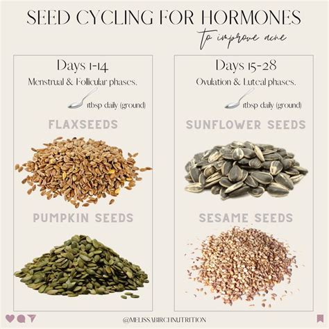 Seed Cycling For Hormones Foods To Balance Hormones Seed Cycling