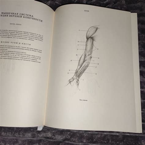 Анатомия для художников Енё Барчаи: 678 грн. - Книги / журналы Киев на Olx