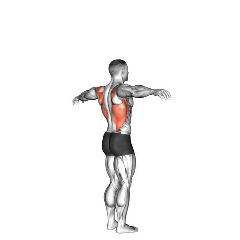 Shoulder Extension Exercise Boost Strength With Transverse Extension