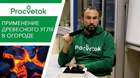 Долгоиграющее удобрение из древесного угля своими руками - YouTube