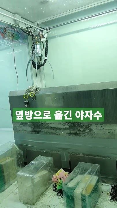 야자수는 못참지😁 Youtube