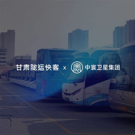 中寰卫星系统集团有限公司
