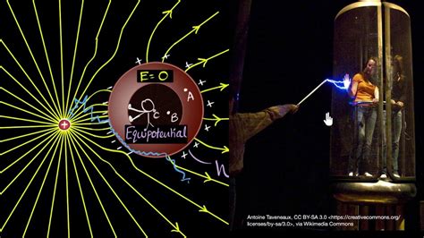 Electrostatic Shielding And Faraday Cage Electrostatic Potential