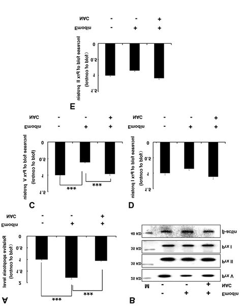 Emodin Induced Apoptosis In Ags Cells Is Associated With Intracellular