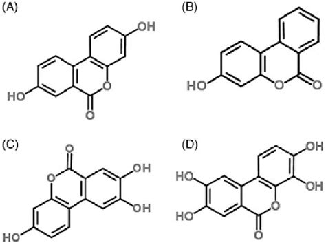 Chemical Structure Of Ellagic Acid Metabolites A Urolithin A Uro A