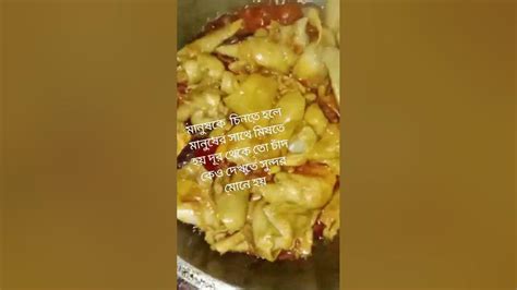 মুরগীর লটপটি শর্ট ভিডিও Youtube