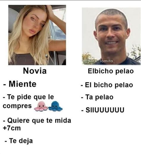 El Bicho Meme Subido Por Elmerncurio Memedroid