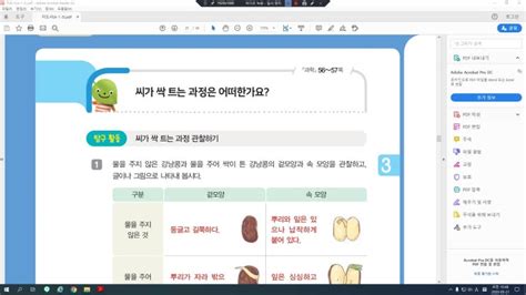 3식물의 한살이식물이 자라는 데 필요한 조건 알아보기 네이버 블로그