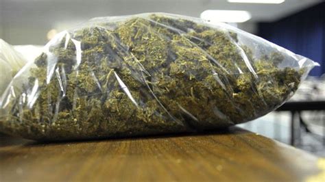 Хванаха младеж с канабис Новини бг