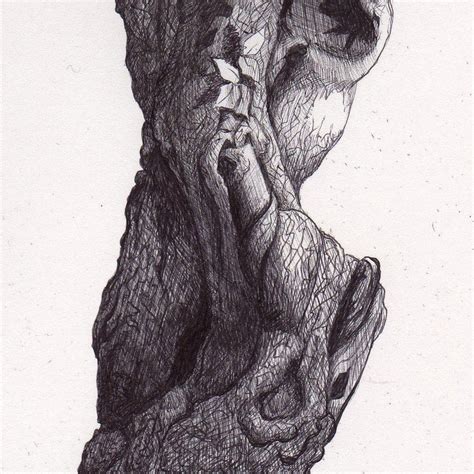 Tree Trunk Drawing Wallpapers Gallery