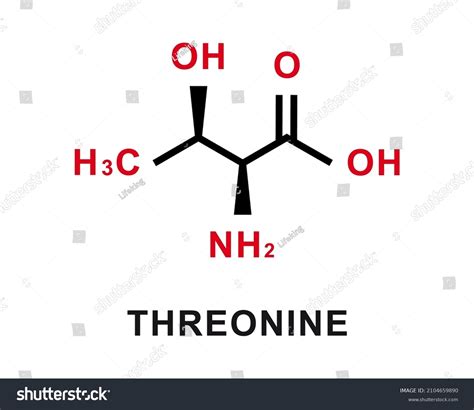 Threonine Chemical Formula Threonine Chemical Molecular Stock Vector