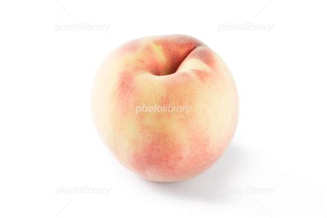 Photolibrary