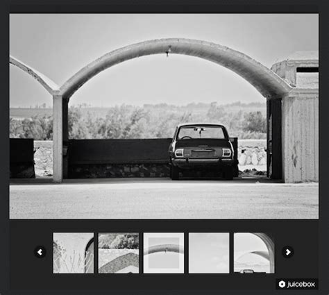 Create Responsive Photo Galleries With Juicebox