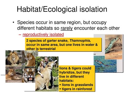 What Is Ecological Isolation At Richard Groves Blog
