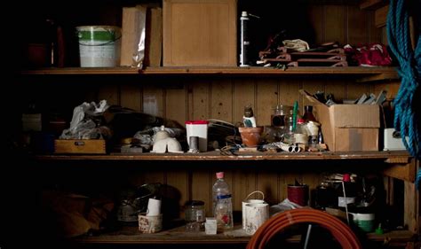 ‘effective Ways To Keep Insects And Rodents Away From Your Shed ‘will Deter Them Uk