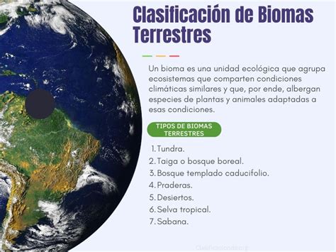 Clasificación De Biomas Terrestres ¿cómo Se Clasifican