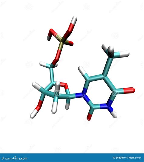 Thymine Cartoons Illustrations And Vector Stock Images 1644 Pictures