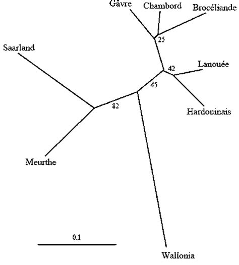 A Neighbour Joining Tree Based On Neis Standard Genetic Distance D S