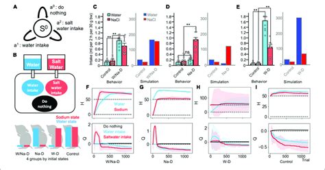 Multi Dimensional Homeostatic Reinforcement Learning Hrl Model As A Download Scientific