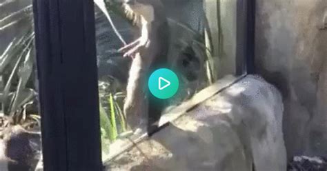 Sim Simma Who Got The Keys To My Bimmer Who Am I  On Imgur