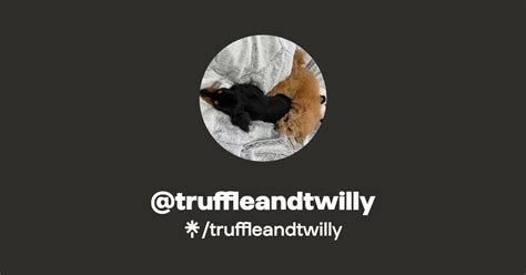 Truffleandtwilly Instagram Linktree