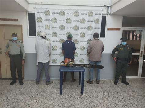 Policía captura a tres personas por tala indiscriminada de árboles La
