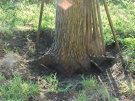 Dirt Doctor Library Topics