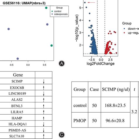 Investigation Of Differentially Expressed Genes A The Umap Algorithm