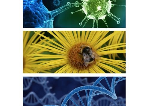 Gcse 9 1 Aqa Required Practical Handbooks For Combined Science