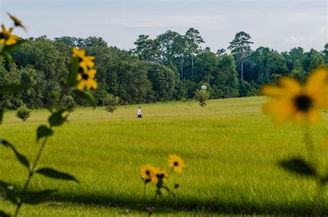 10 Iconic Historic Sites To Visit In Tallahassee • Visit Tallahassee
