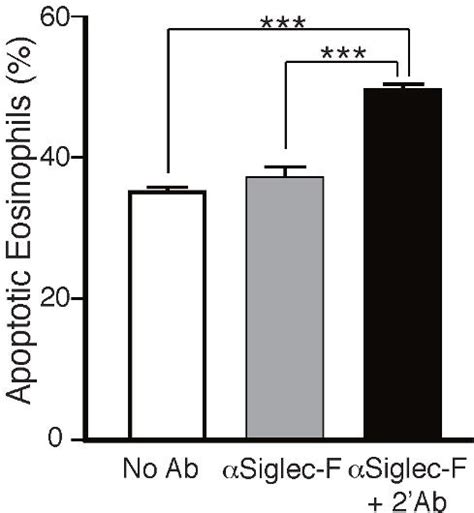 Defining The In Vivo Function Of Siglec F A Cd33 Related Siglec Expressed On Mouse Eosinophils