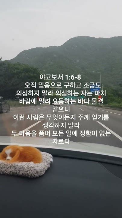 오직 믿음으로 Youtube