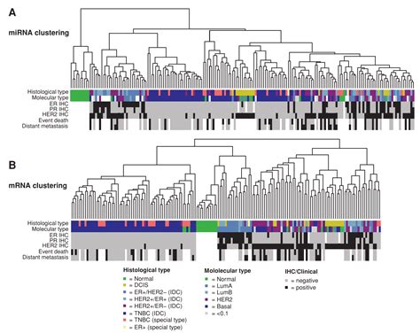Mirna Seq，达澈生物