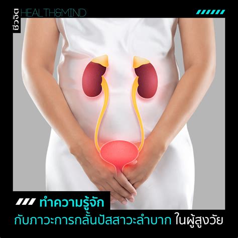 👩‍🦳 ภาวะการกลั้นปัสสาวะลำบาก หรือ ปัสสาวะเล็ดในผู้สูงวัยนั้น นับเป็นปัญหาที่พบมากขึ้นในสังคม