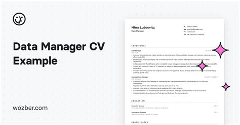 Data Manager CV Example