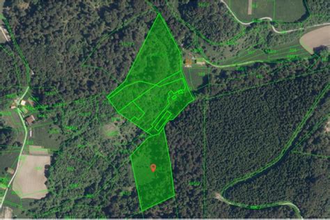 Gozdkmetijsko Zemljišče V Kraju Presečno