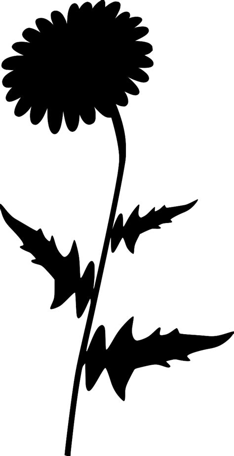Svg Blumen Stengel Bl Hen Fr Hling Kostenloses Svg Bild Symbol Svg Silh