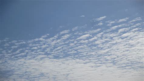 「いわし雲が出たら晴れる」は正解？不正解？雲で天気を予測する方法 【be Pal】キャンプ、アウトドア、自然派生活の情報源ビーパル